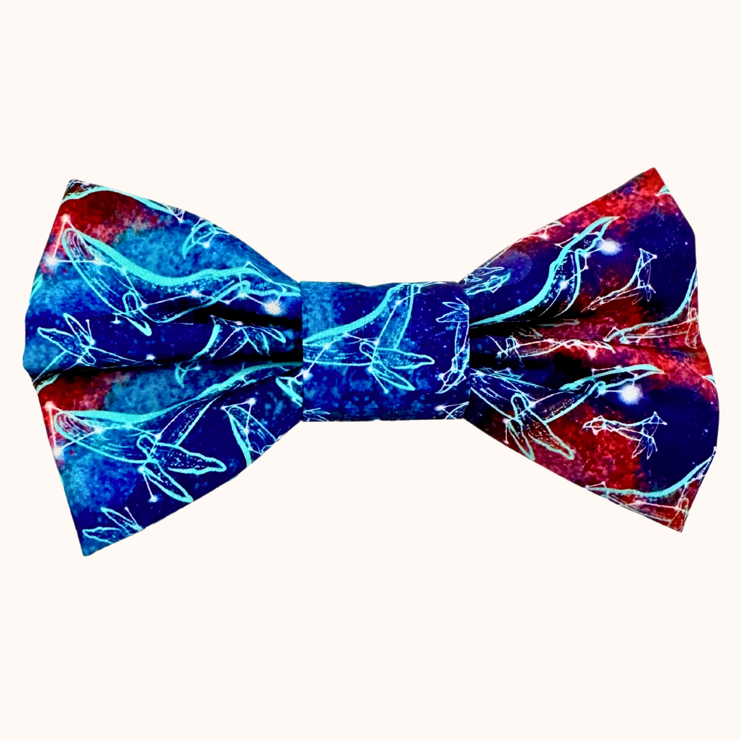 BowWowMeow Bow Tie