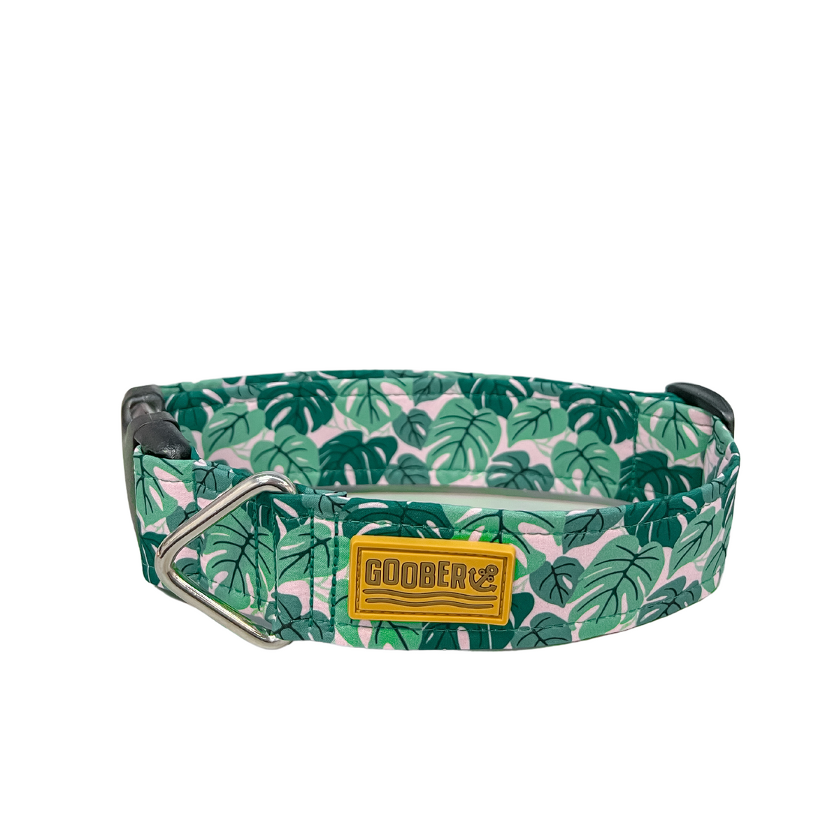 Monstera Mash – BowWowMeow